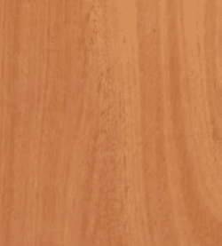 Home Main - Transwall