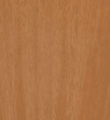 Home Main - Transwall