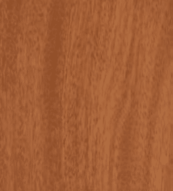 Home Main - Transwall