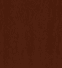 Home Main - Transwall