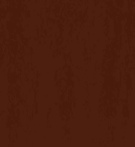 Home Main - Transwall